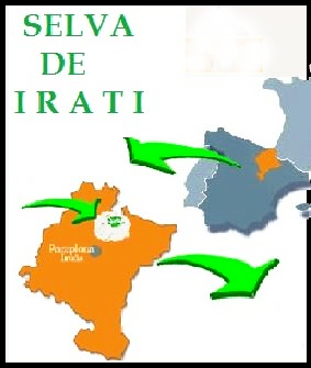 La Selva de Irati: mi bosque preferido – Espacio JAUHALTE